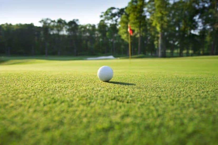 What Do The Numbers On Golf Balls Mean Golfers Passion